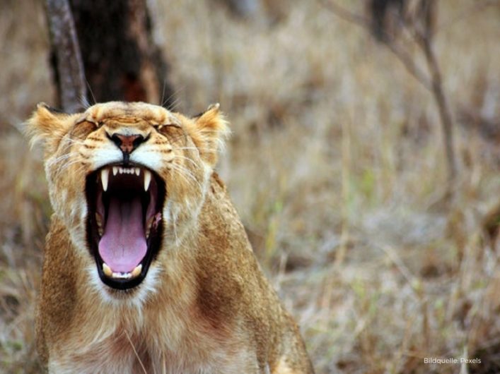 Über die Wut und ihre Bedeutung für dich - Midlife-Boom.de